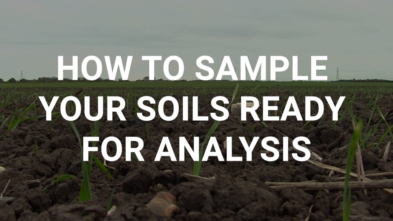 How To Sample Your Soils Ready For Analysis YouTube how-to-sample-your-soils-ready-for-analysis-youtube