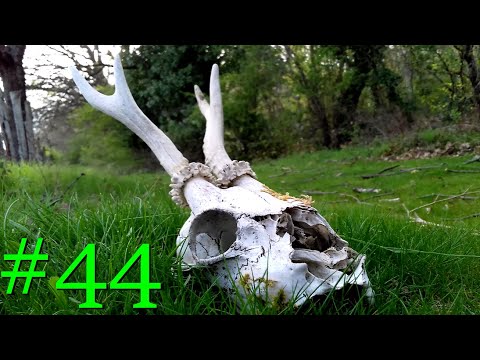 La Nature, une merveille, un trésor ! (44)🌲🌳