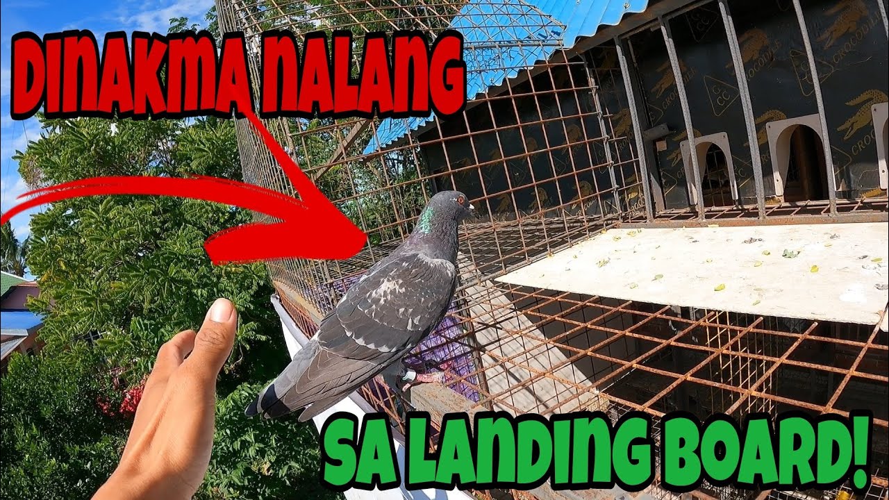 202KM SUPER SMASH RACE GRABE ANG LUPET TUMAGOS SA ULAN! - YouTube