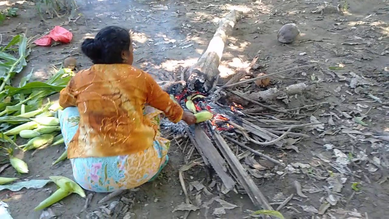 Tempu Sau Batar Nurak🌽🌽 - YouTube