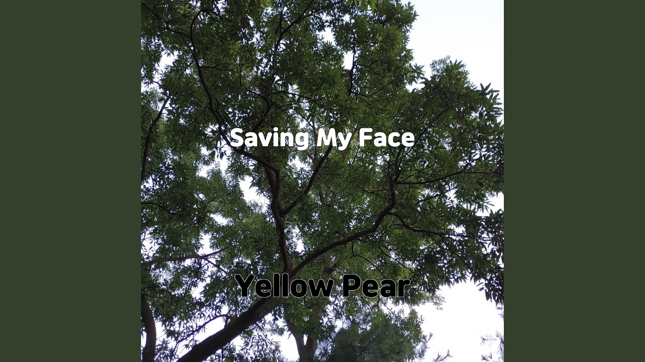 Saving My Face - YouTube
