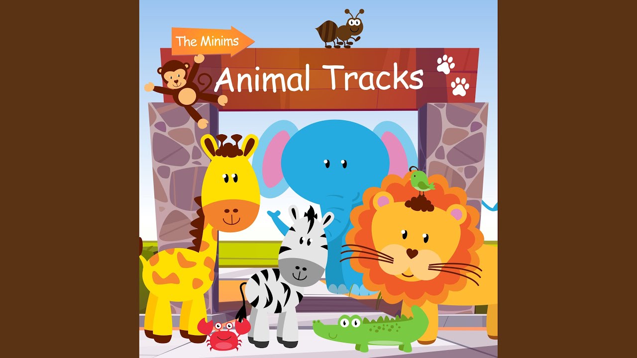 Debra the Zebra - YouTube