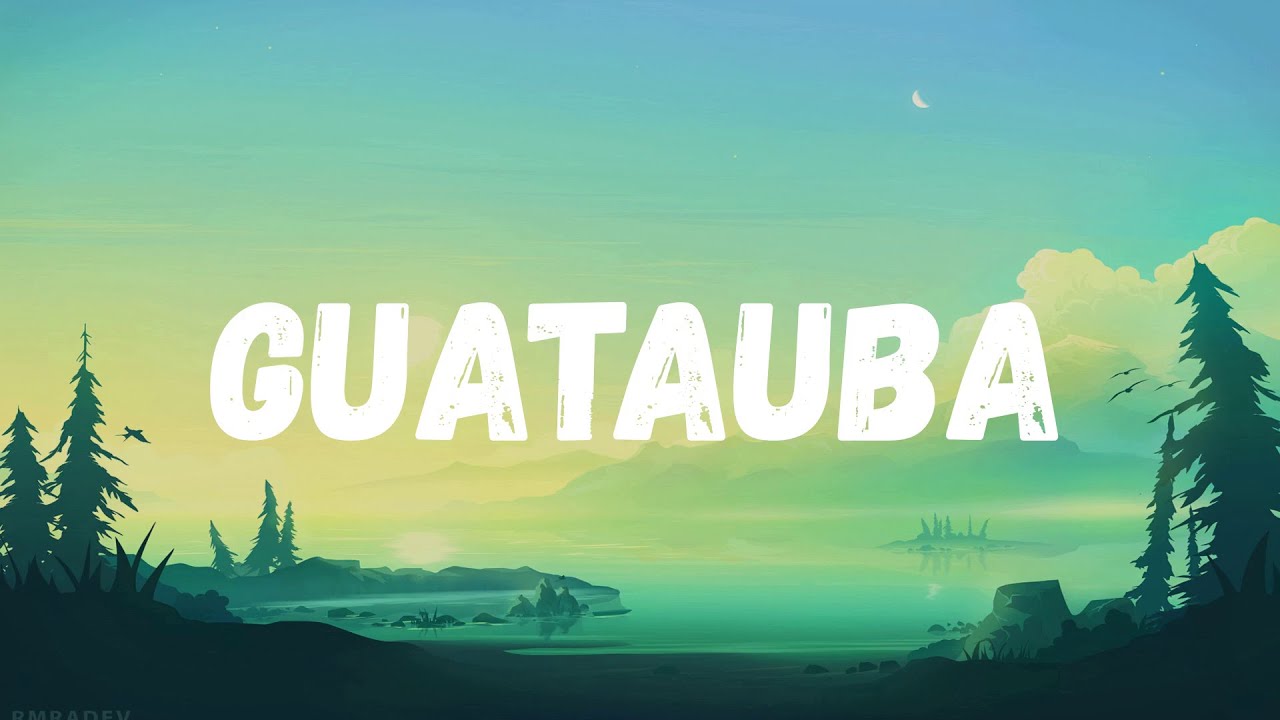 Guatauba - Plan B (Letra) 🍒 - YouTube