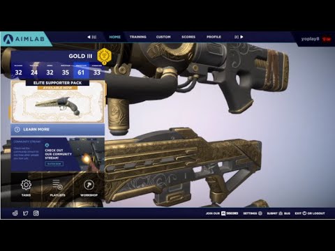 Aim Lab - Rank Gold_3 - Day 10 - YouTube