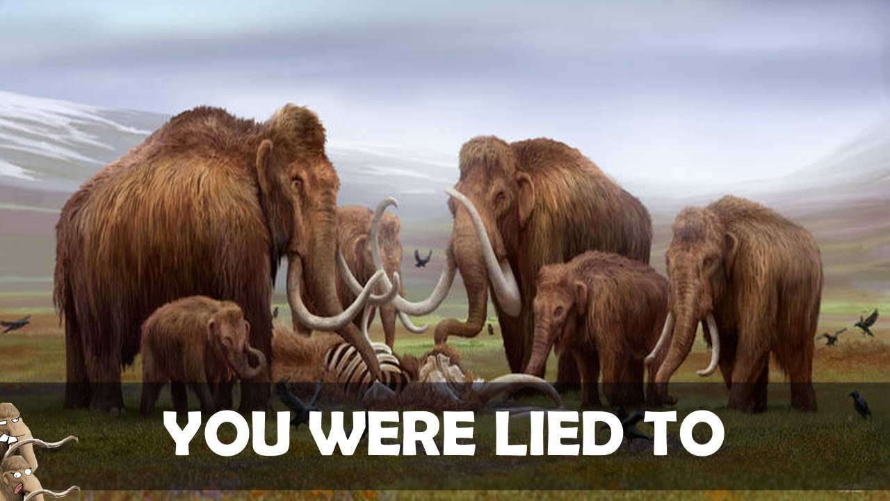 How the Woolly Mammoth Really Went Extinct - YouTube