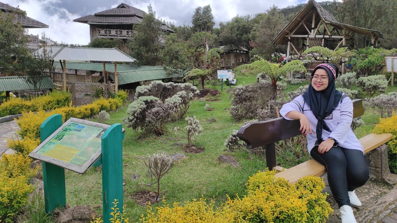 Taman Bunga Edelweis Gunung Papandayan || Garut - YouTube