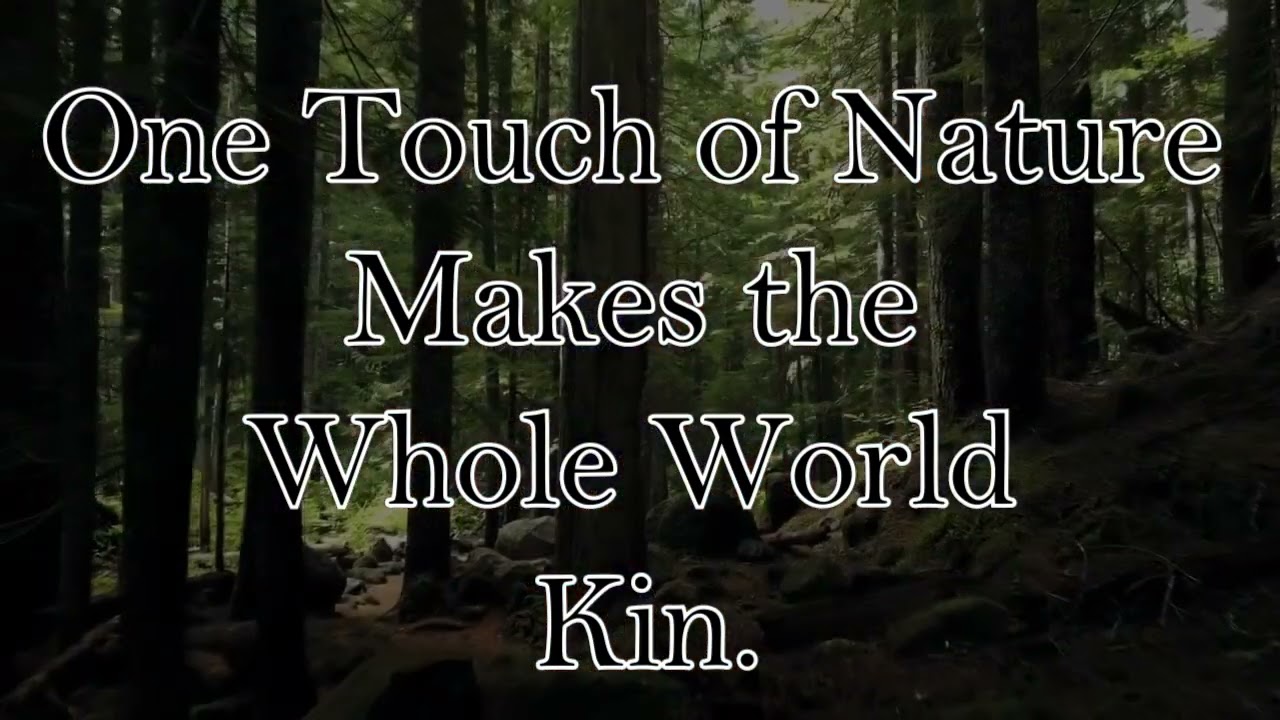 One Earth Environmental Short Film - YouTube