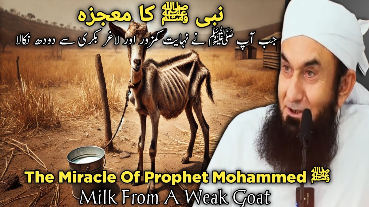 The Miracle of Prophet Muhammad ﷺ Turned a Weak Goat into a Source of ...