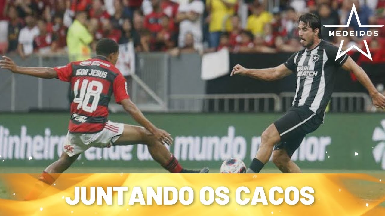 JUNTANDO OS CACOS DA VERGONHA | É HORA DE FOCAR NO SERGIPE E EVITAR ...
