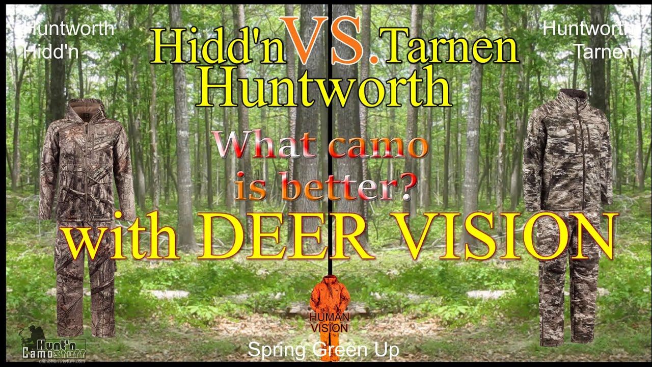 Who is the best? Huntworth Tarnen Vs. Hidd'n on 12 Backgrounds in Human ...