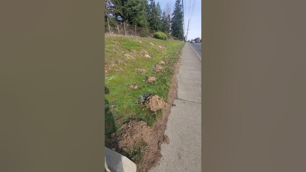 making mountains out of molehills - YouTube