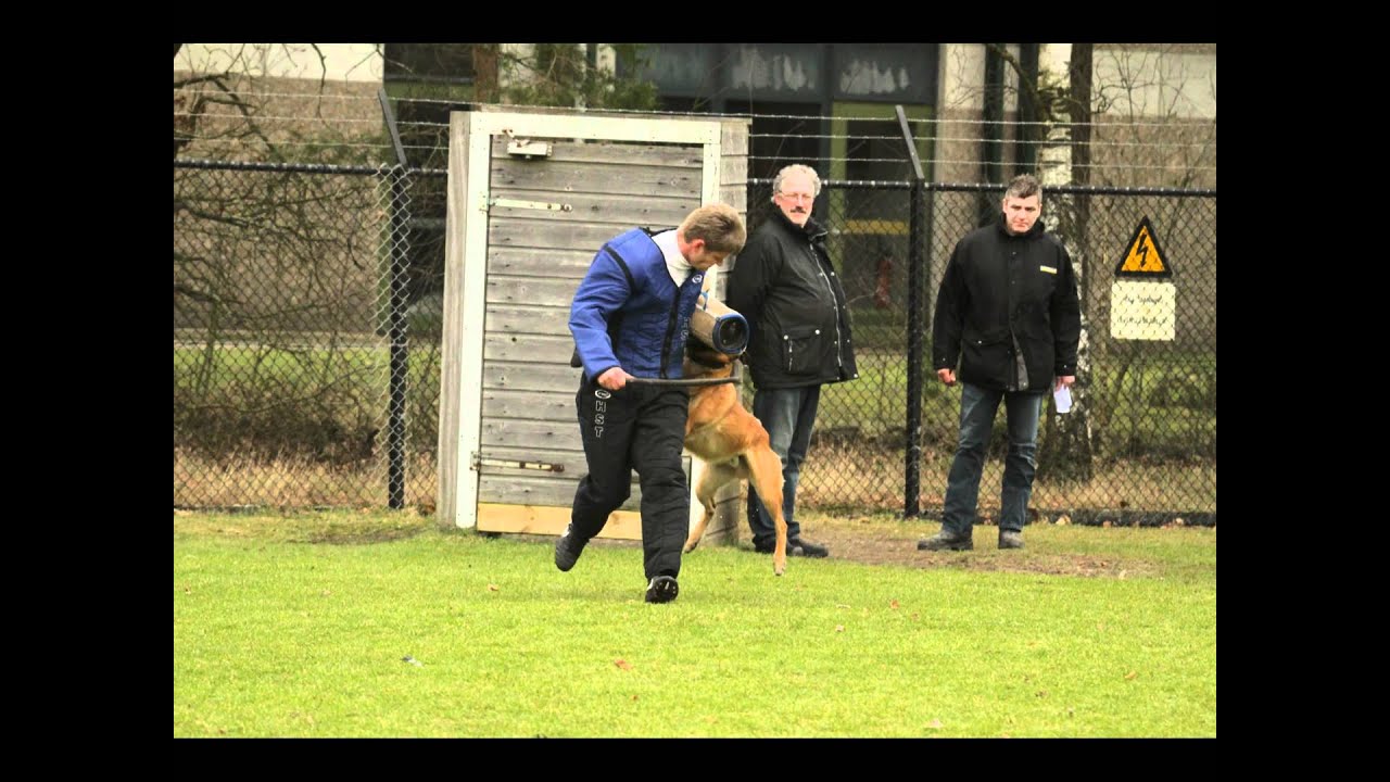 J Oosterhoff foto collage - YouTube