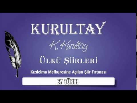EY  TÜRK!   ( Şiir )   Türkçü Şiirler