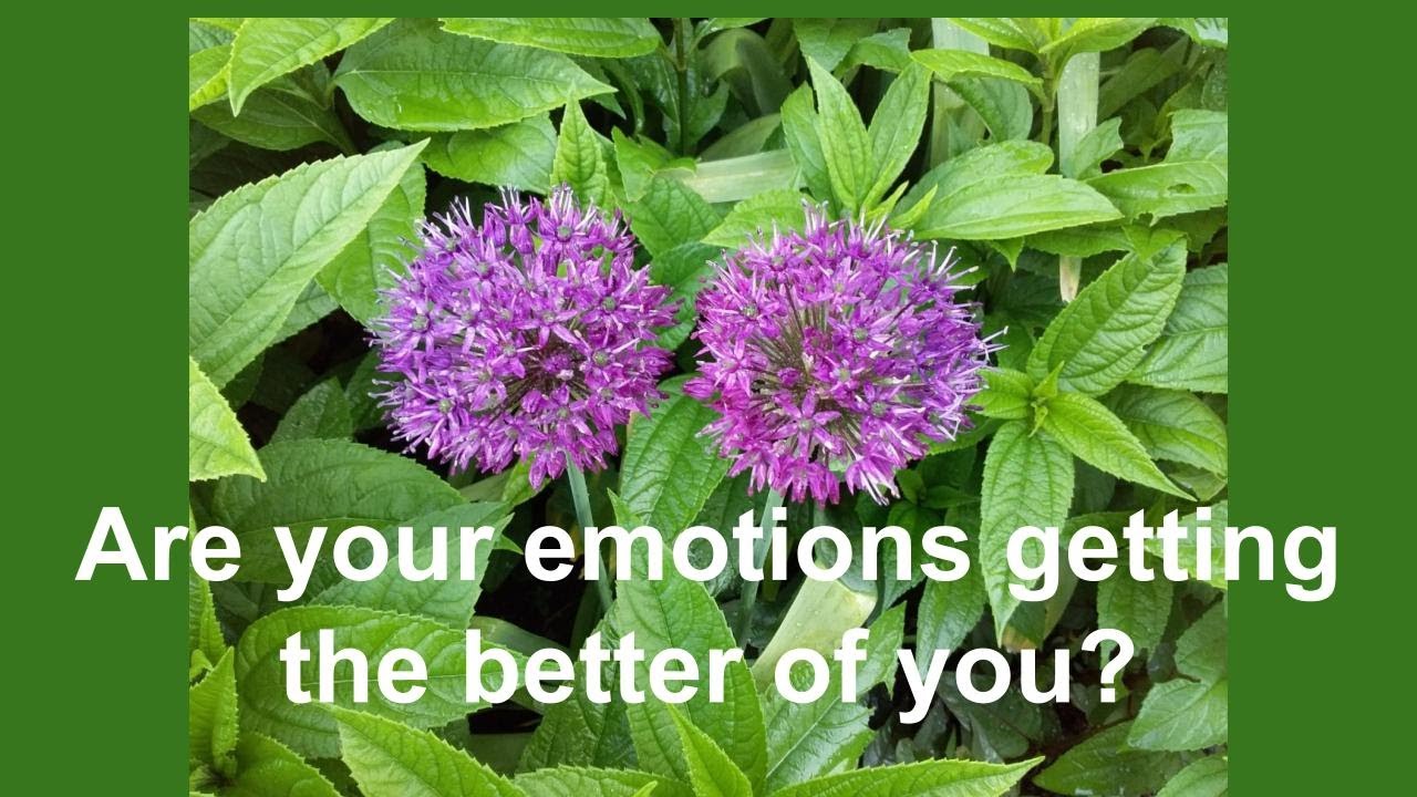 ARE YOUR EMOTIONS GETTING THE BETTER OF YOU? | Get a grip! 😫 - YouTube