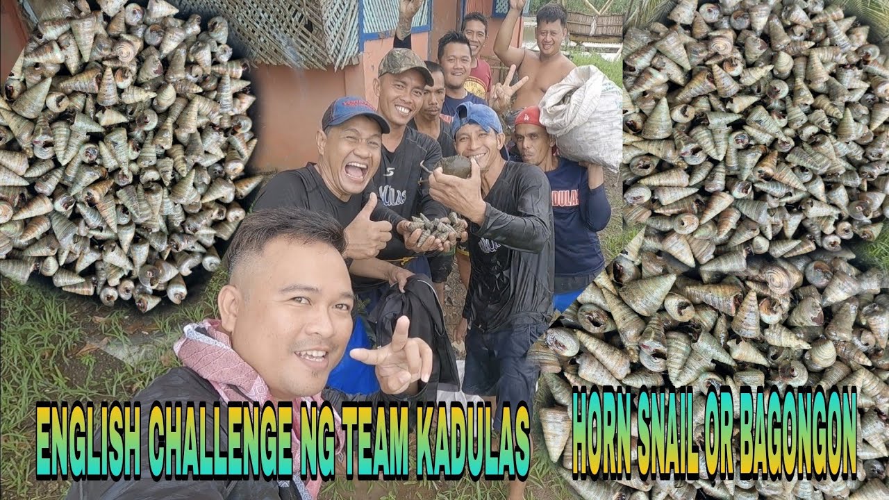 Ep028- Horn Snail or Bagongon Catch & Cook | Ginataang Bagongon Recipe ...