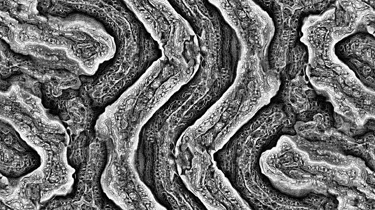 "Weird Static" Turing Pattern Fractal Animation - YouTube