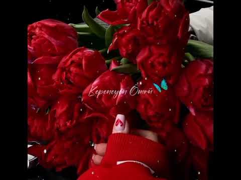 🦋🤍Whatsapp ucun maraqli statuslar,sevgiye aid video,Sounds App Status ucun qisa videolar 2022🍃