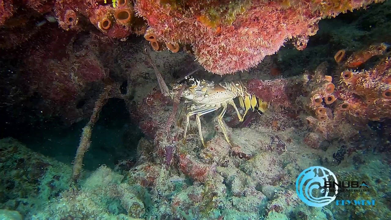 We bring you Western Dry Rocks series! - YouTube