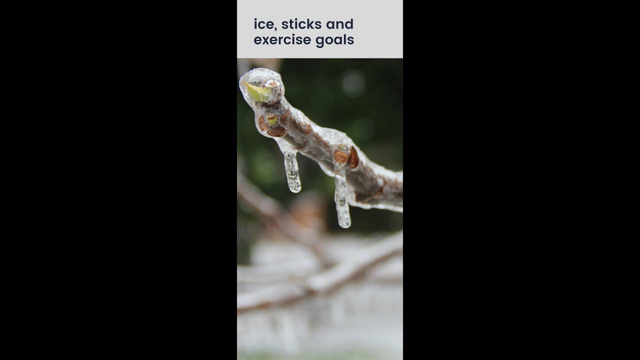 Ice puddles, Sticks and Exercise Goals - YouTube