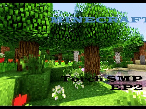 Torch smp [02] working on the house - YouTube