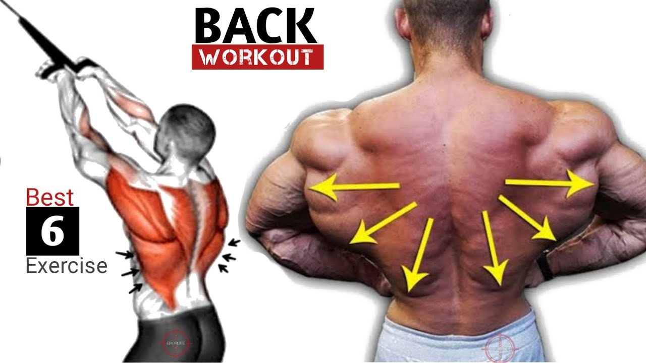 6 Best and Perfect Exercise For Massive BACK | ERORLIFE - YouTube