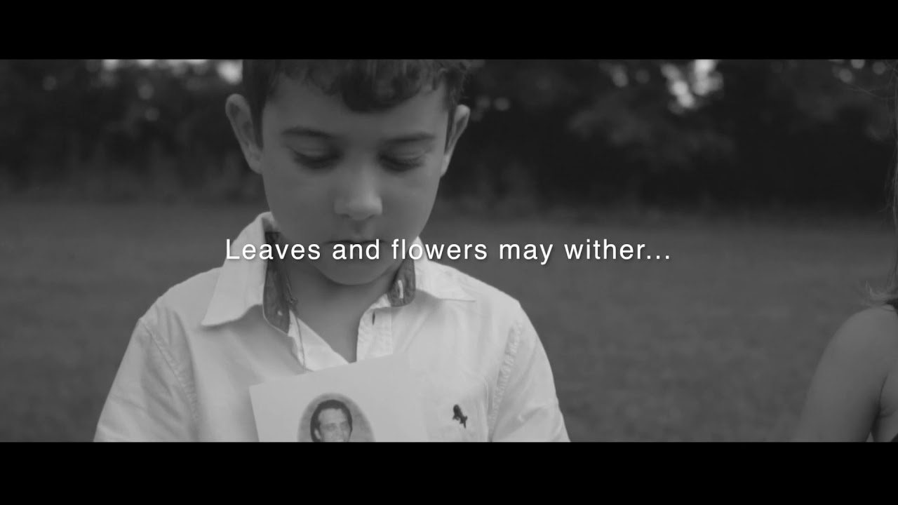 FLY AWAY- OFFICIAL MUSIC VIDEO (TRAILER) - YouTube