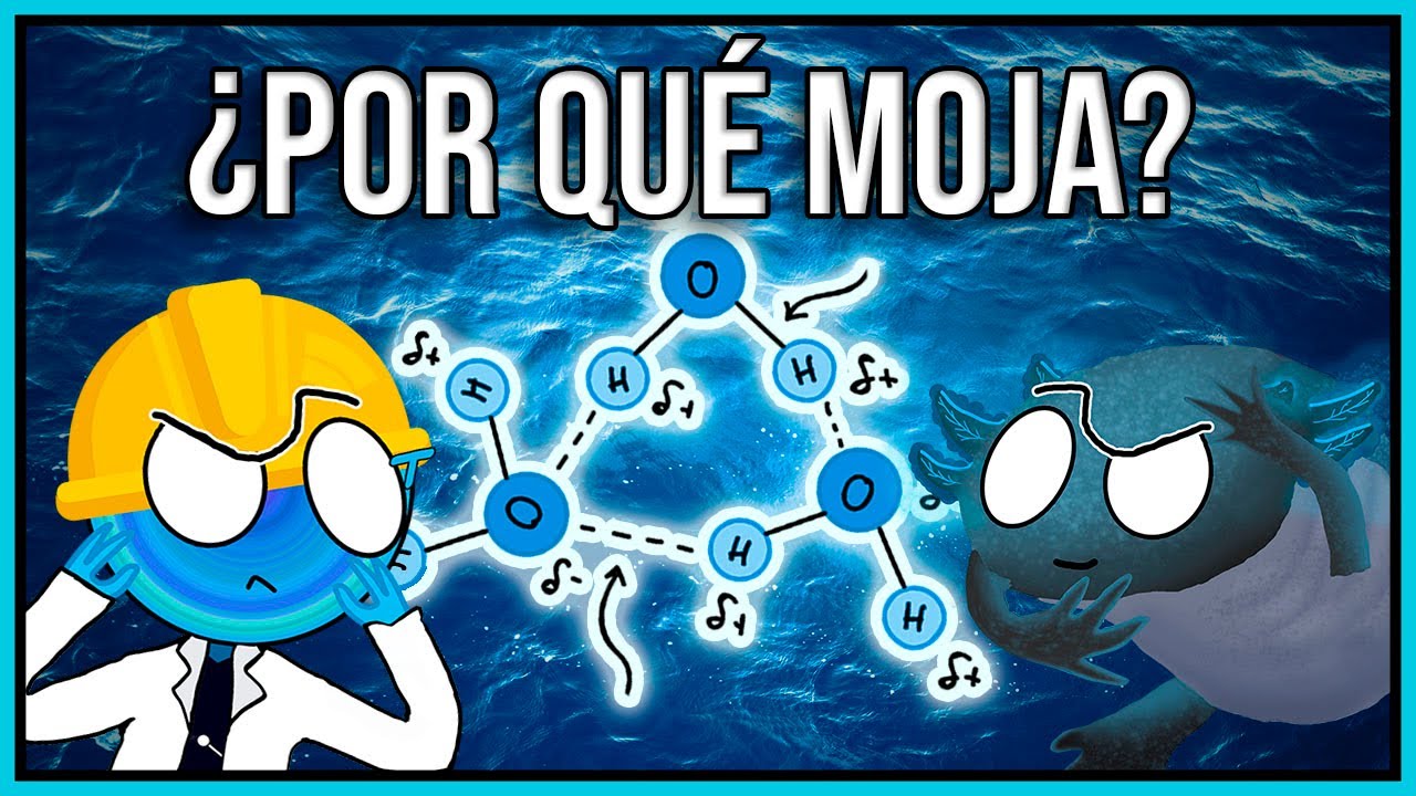 ¿Por qué el agua moja? - YouTube