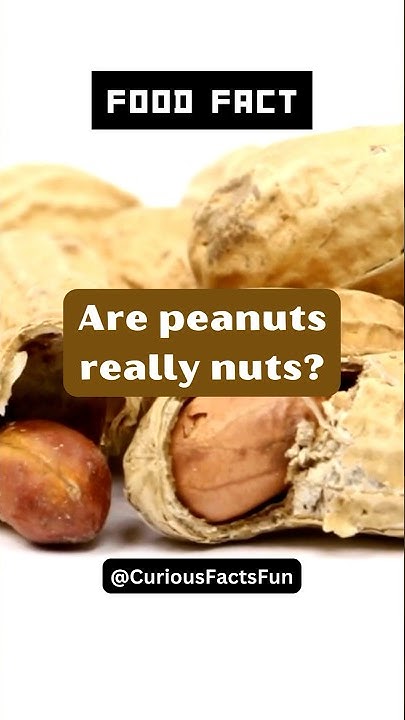 Are peanuts really nuts? #shorts - YouTube
