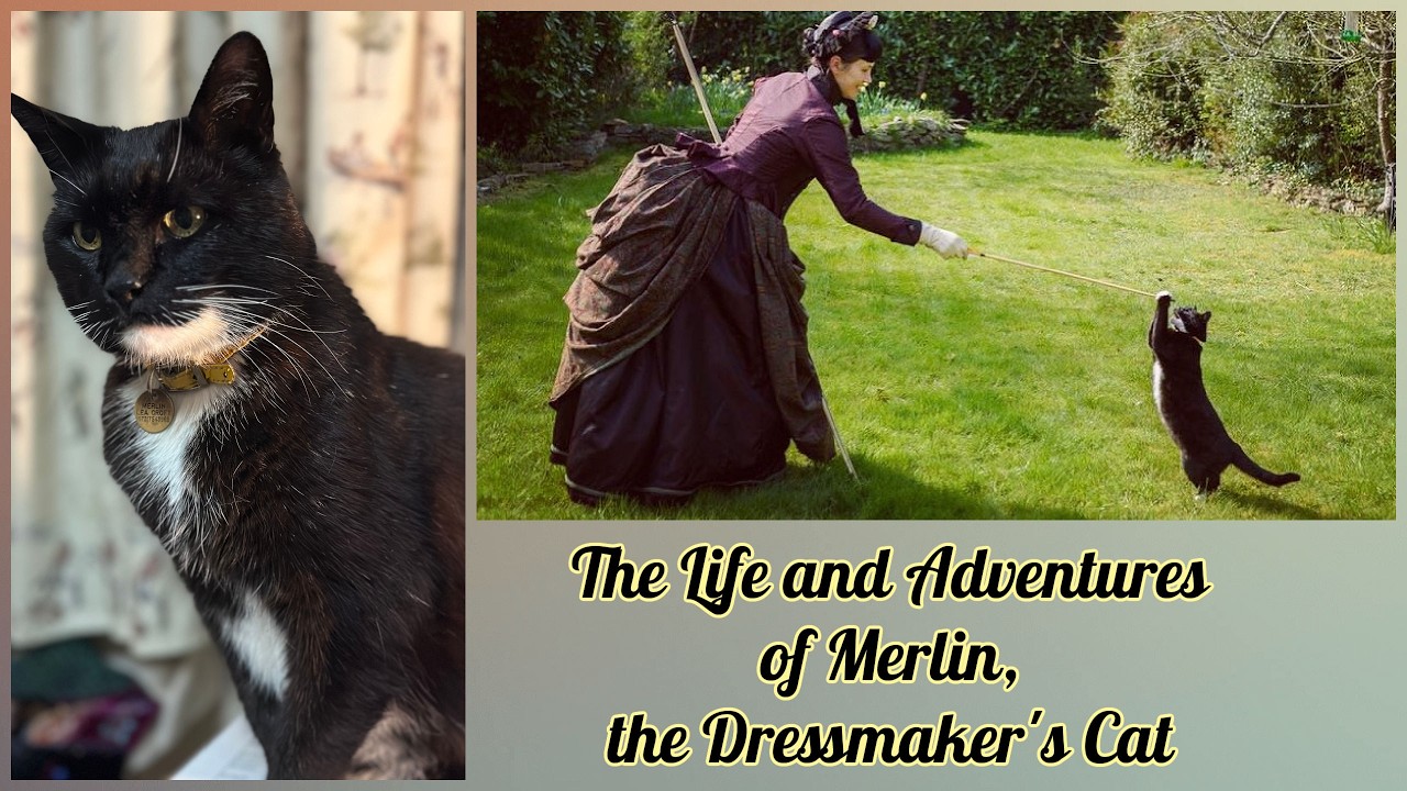 The Life and Adventures of Merlin, the Dressmaker's Cat - YouTube