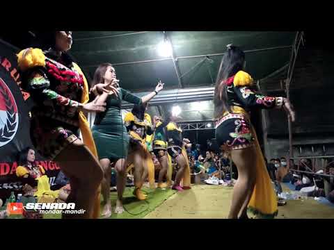 TATAS COVER NDOLALAK MEKAR JAYA BAYAN PURWOREJO LIVE KALIANGKRIK MAGELANG