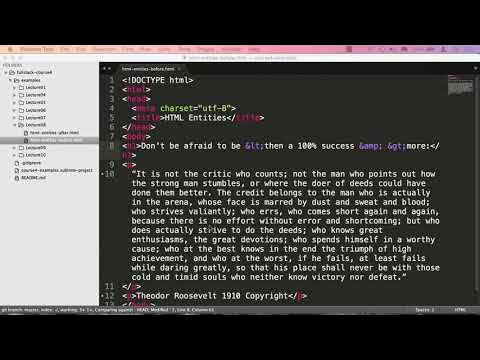 Lecture 8 HTML Character Entity References - YouTube