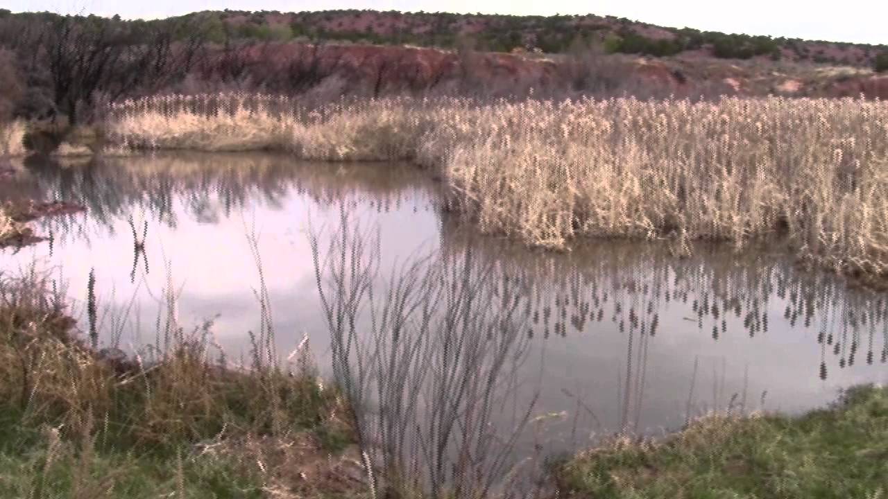 Zuni River Video - YouTube