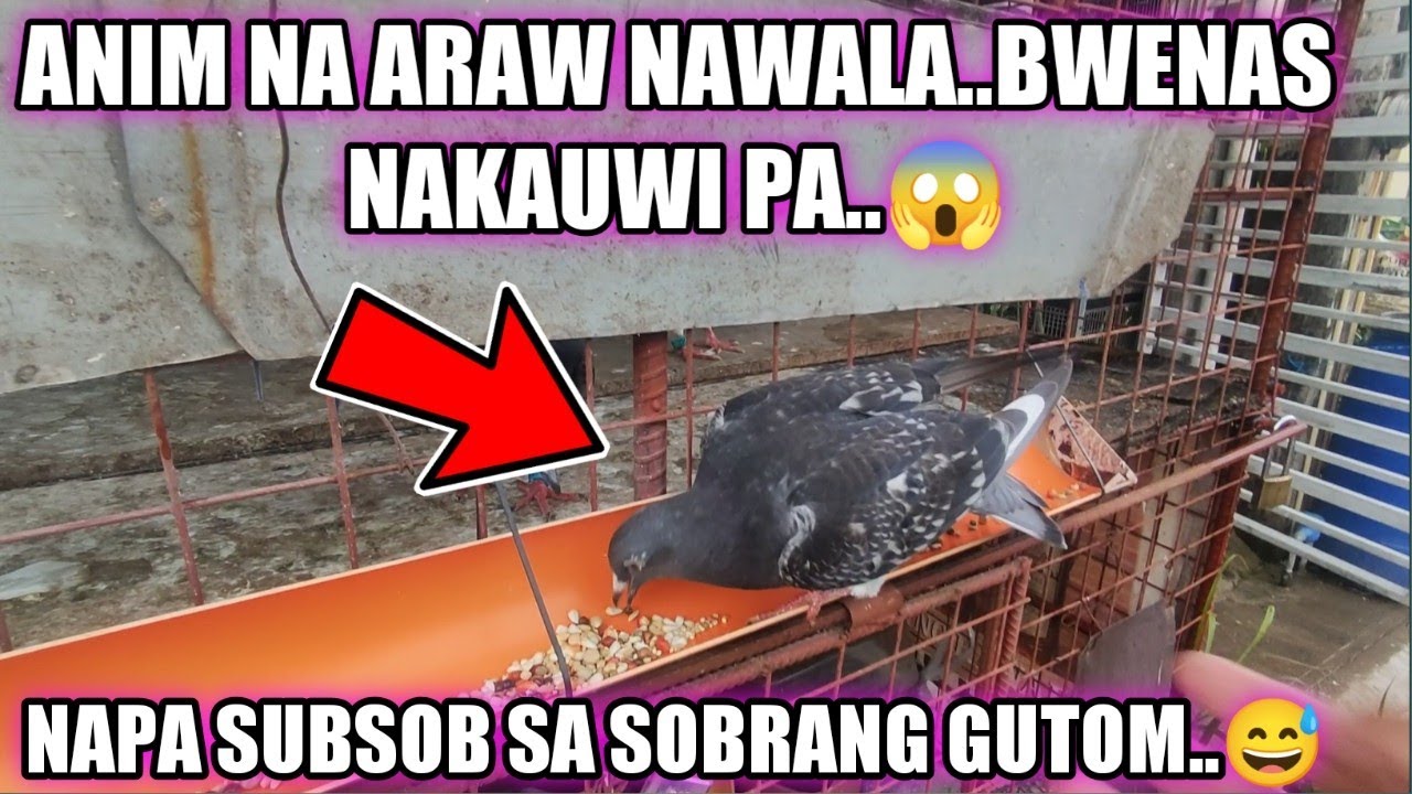 NAPA SUBSOB SA SOBRANG GUTOM..😅 | ANIM NA ARAW NAWALA..BWENAS NAKAUWI ...