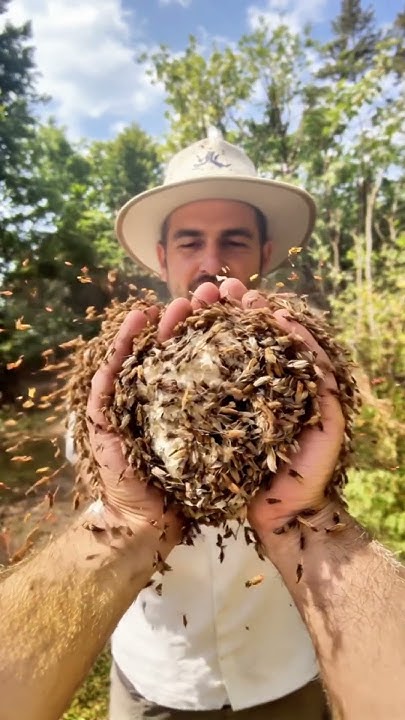Man smashing wasps nest with his bare hands 🤚 #wildanimals #wildlife - YouTube
