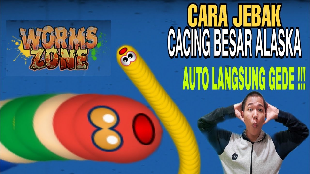 BEGINI CARA YANG BENAR BUNUH CACING BESAR ALASKA!!! -Worm Zone ...