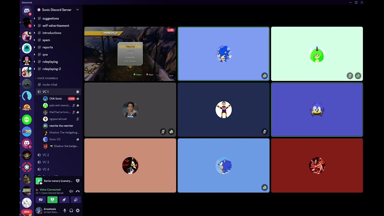 An Ordinary Sonic Discord Server Experience - YouTube