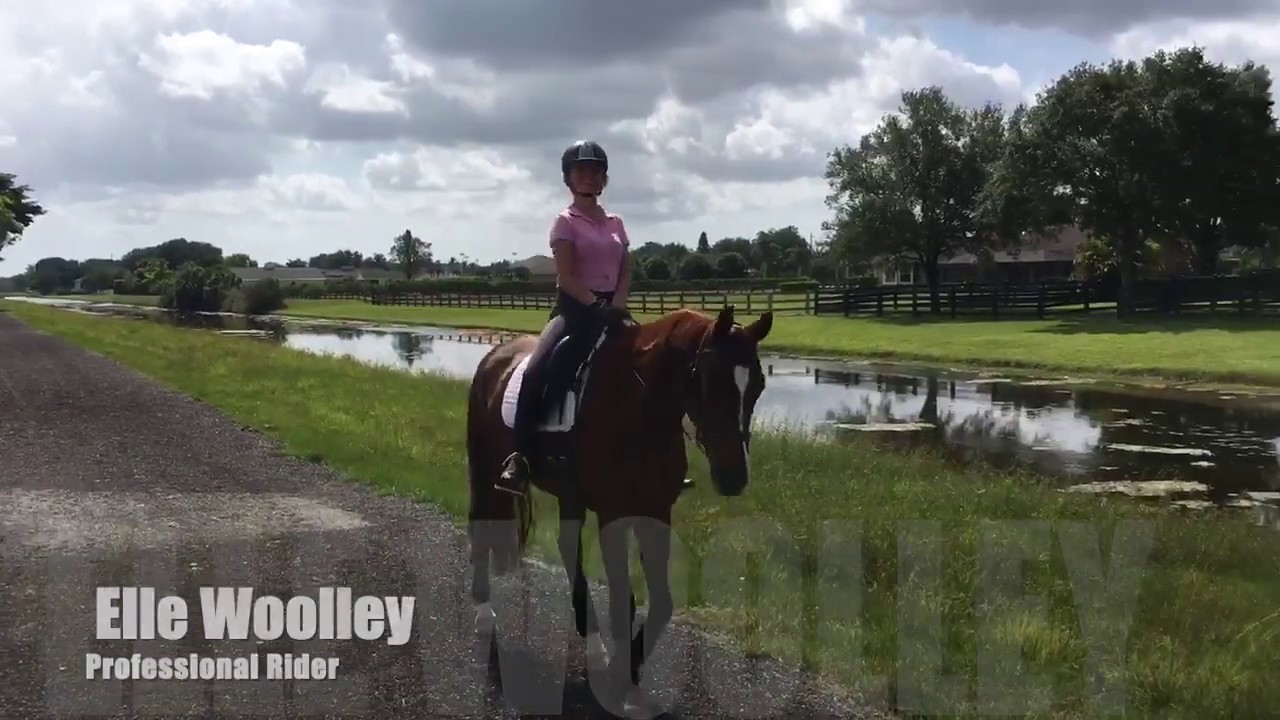 Pro-Stride Perspectives - Elle Woolley - YouTube