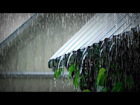 Heavy Rain Falling on Roof with Distant Thunder | Relaxing ASMR Sleep ...
