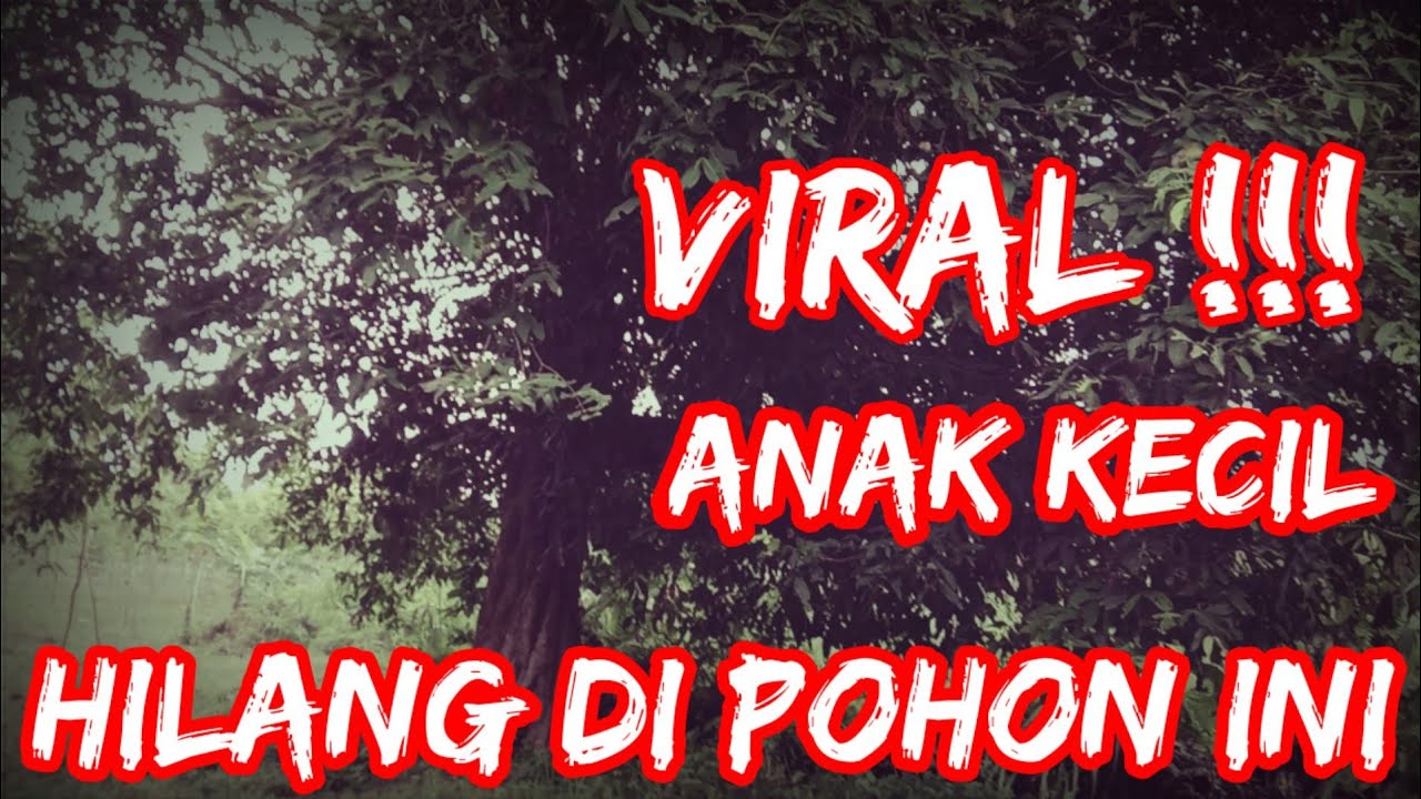 VIRAL,Pohon jambu angker di hutan(sendang Coyo) - YouTube