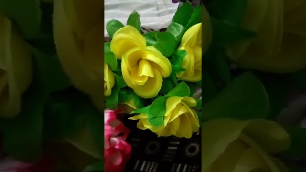 2 July 2022 - YouTube