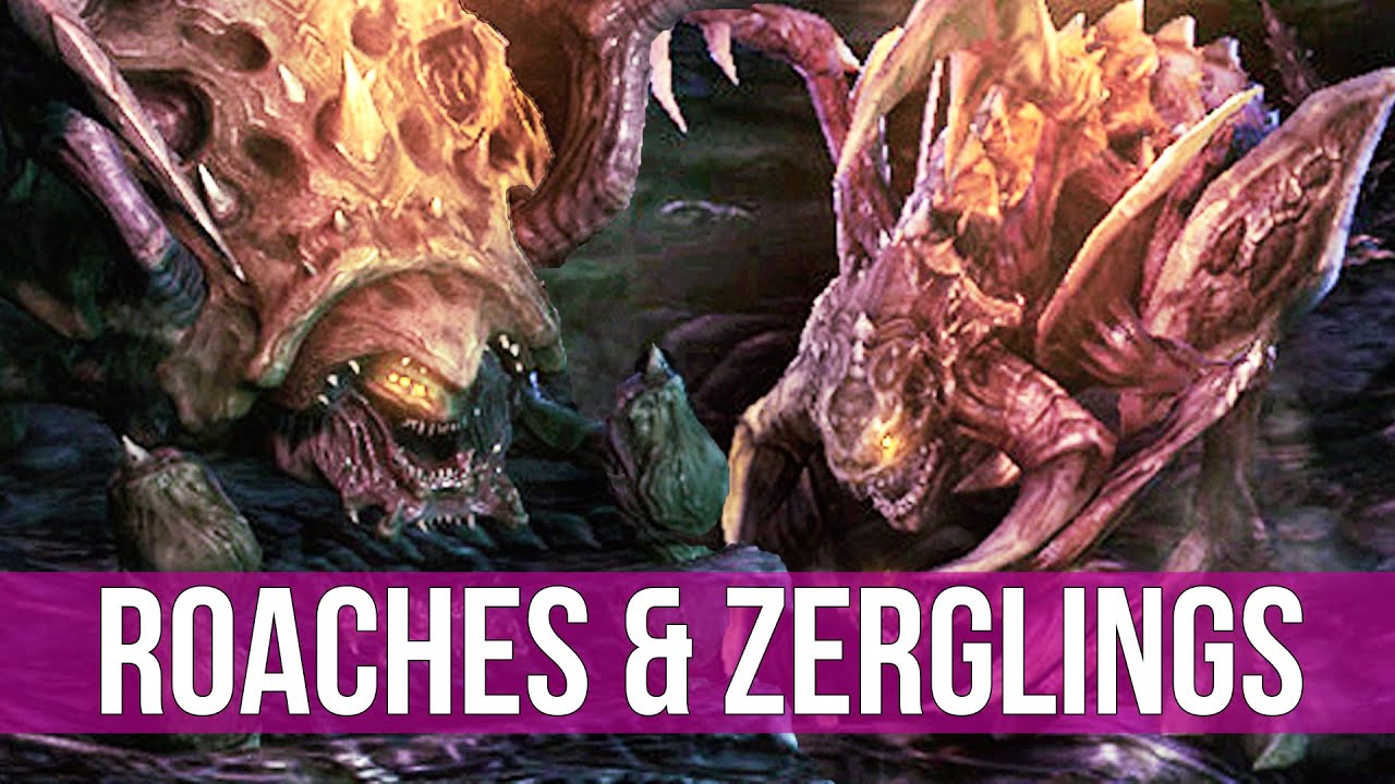 Starcraft 2 Zerg Roach