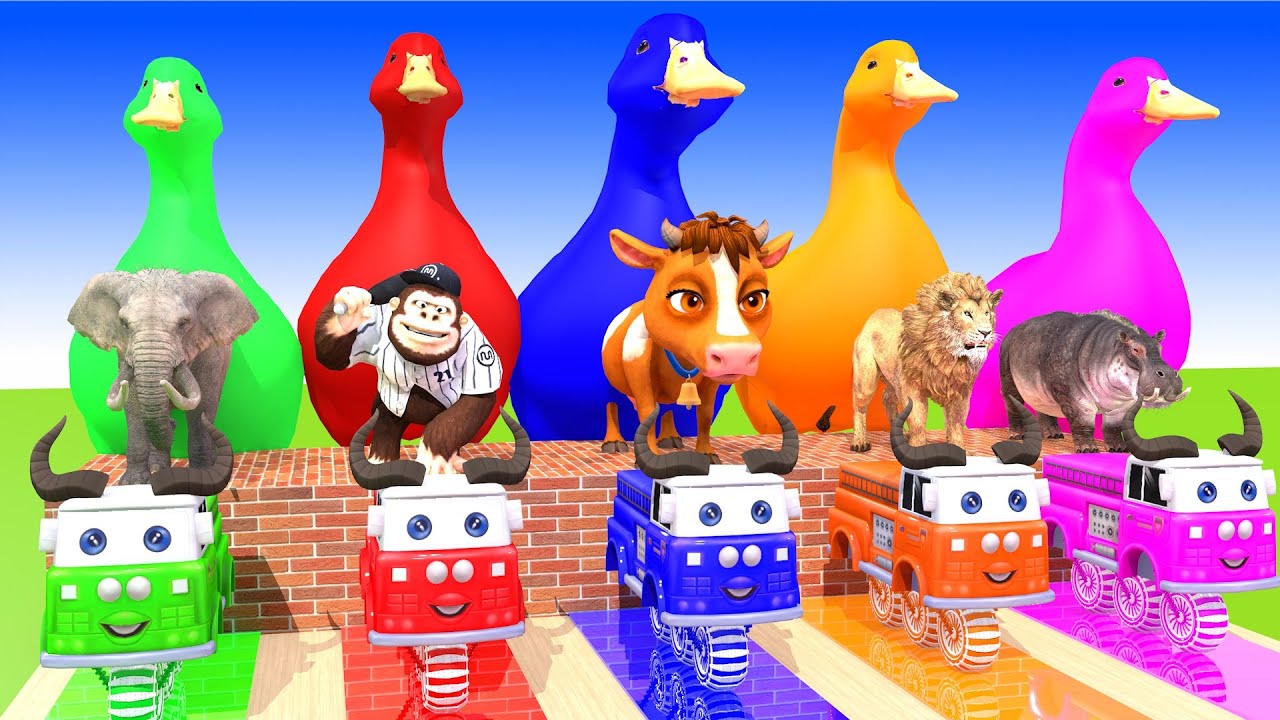 5 Giant Duck, Monkey, Lion, piglet, zebra, kangaroo, Tiger, Sheep ...