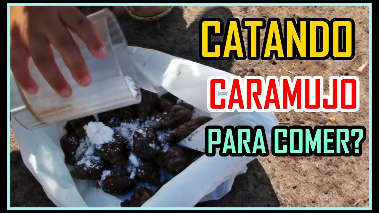 COMENDO CARAMUJO AFRICANO COM MEU FILHO - YouTube