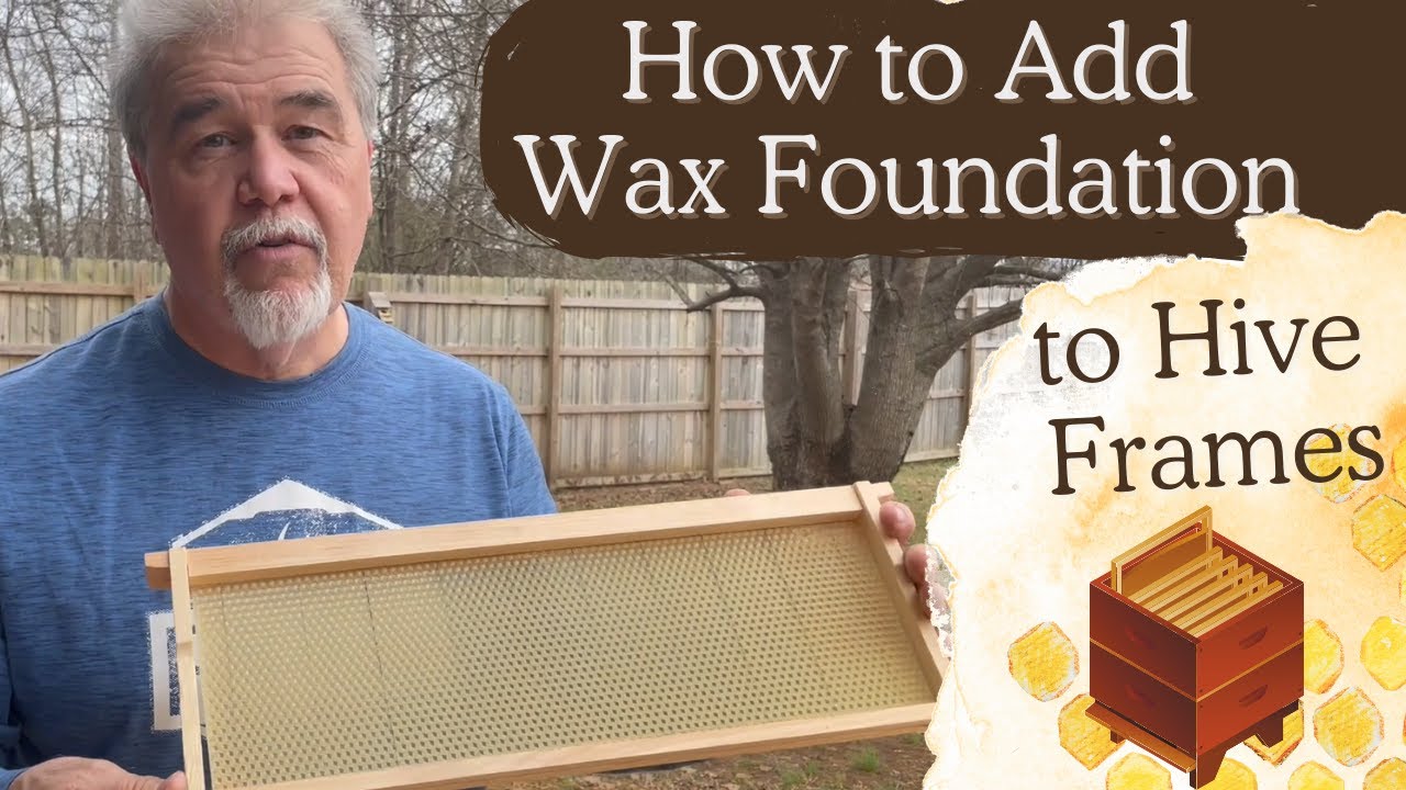 HOW TO PUT WAX FOUNDATION ON BEE HIVE FRAMES | DIY BEEKEEPING - YouTube