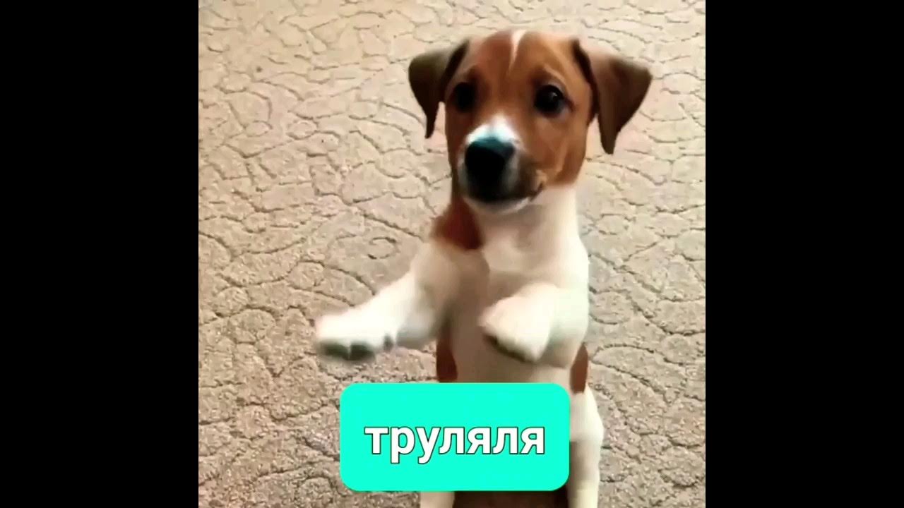 ХлоП в ТоП 🙌 - YouTube