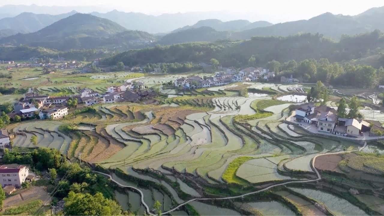 Farmers sow rice in 250 year old terraced fields in NW China - YouTube