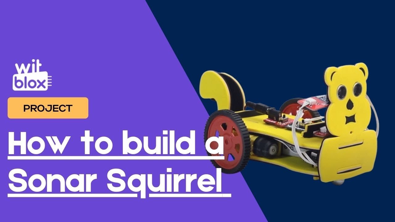 How to build a Sonar Squirrel using WitBlox || WitBlox Full Project - YouTube