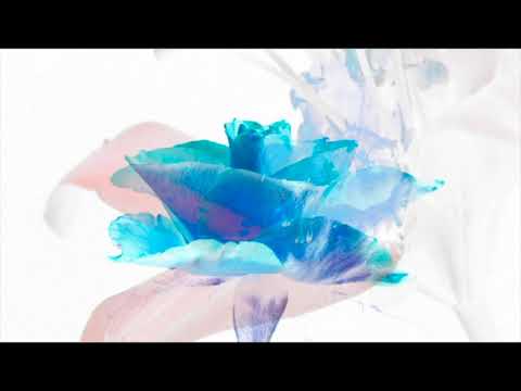 Ena Cosovic & Josefine Hellström - Saturn Retrograde (Official Video ...