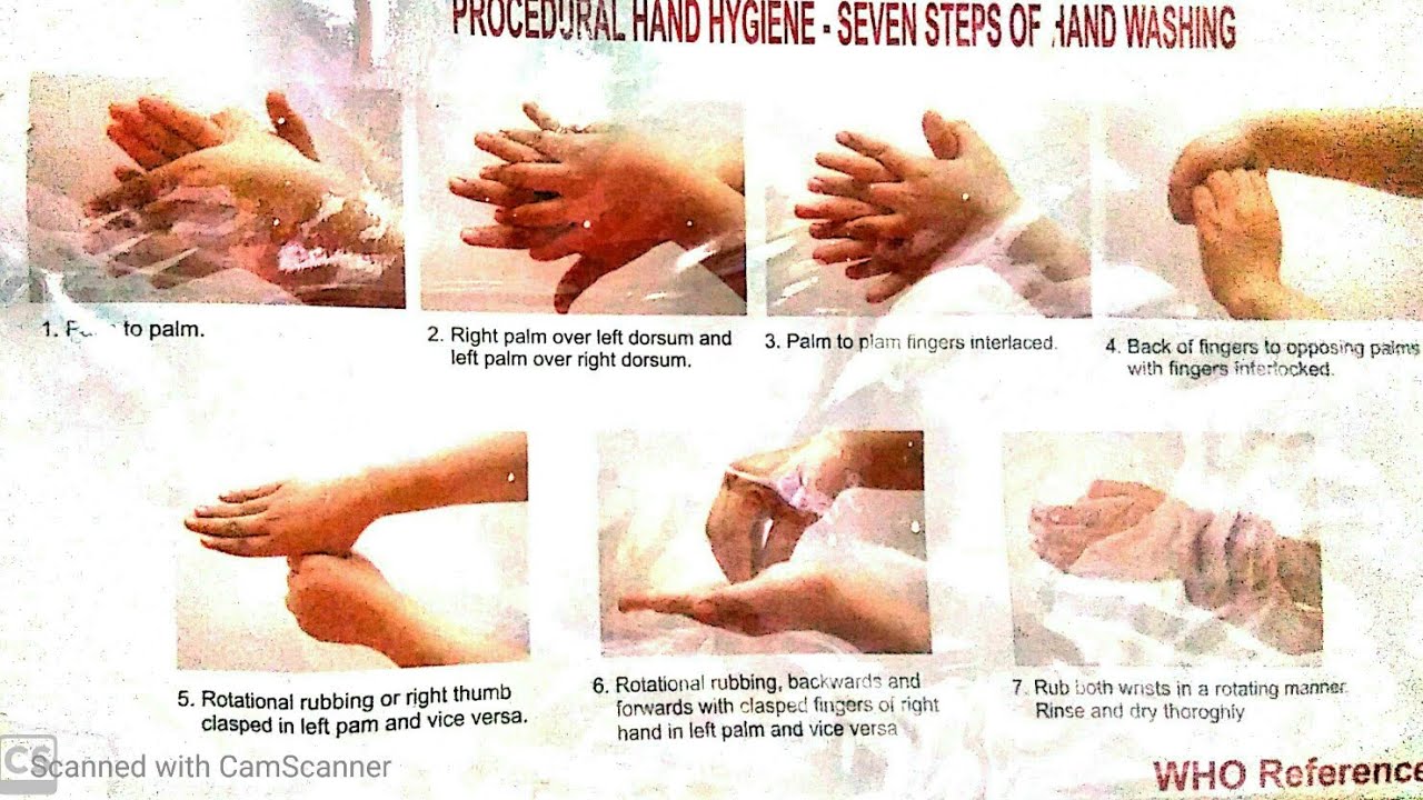 Hand Washing technique by WHO||standard 7 steps|| - YouTube