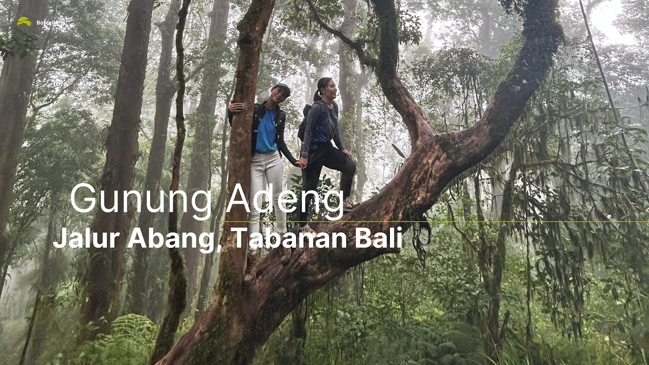 PENDAKIAN GUNUNG ADENG TABANAN BALI JALUR ABANG, 1.826 MDPL - YouTube